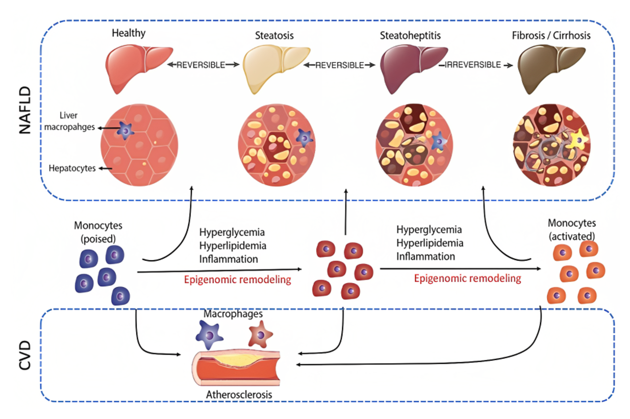 The Science MetaDeq Diagnostics